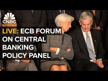 LIVE: CNBC's Sara Eisen at ECB Forum on Central Banking panel with ...